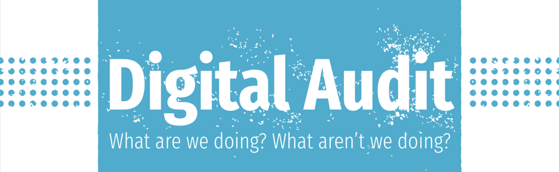 Digital Audit Workbook